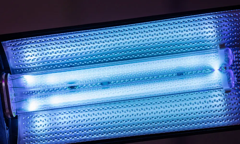 Do UV Bulbs Expire? ( 12 Explanations ) - Infrared for Health