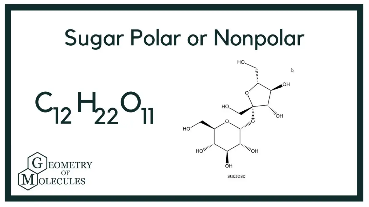Is Sugar Polar or Nonpolar? - Infrared for Health