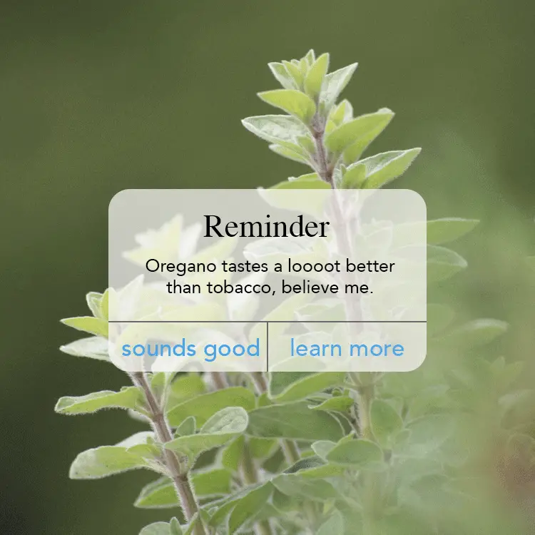 What Happens if You Smoke Oregano? - Infrared for Health